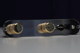 Custom Loaded Tele® Control Plate | Custom Built by ObsidianWire